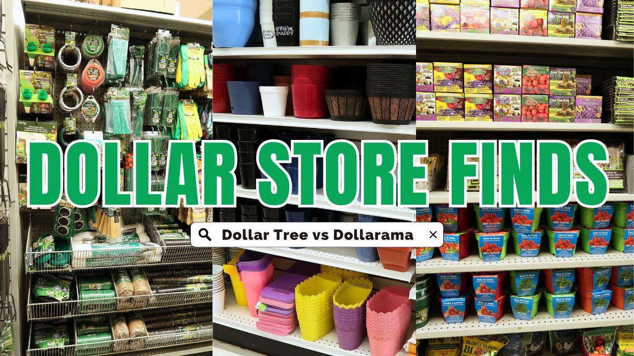 Dollar Store Finds: Discovering Hidden Treasures on a Budget ...